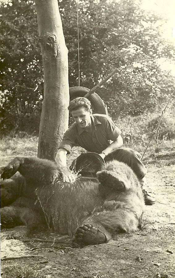 Miś Wojtek – Najpiękniejsze książki dla dzieci, które bawią i edukują